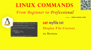 Linux cat Command: Display File Content to Screen – Cocyer